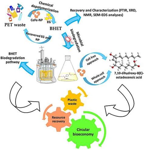 聚对苯二甲酸乙二醇酯解聚和生物多元醇生产的综合化学和生物方法 Acs Sustainable Chemistry And Engineering X Mol
