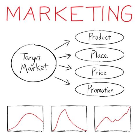 Business Marketing Flow Chart Vector Image By Arenacreative Vector Stock