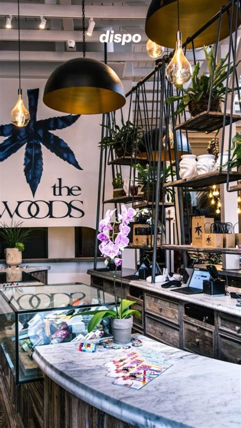 Dispo Cosmetics Store With Plants Bud Bar Dispensary Dispensary
