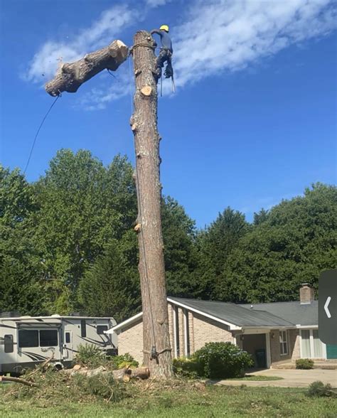 The 1 Tree Service In Athens GA 3 In 1 Tree Service