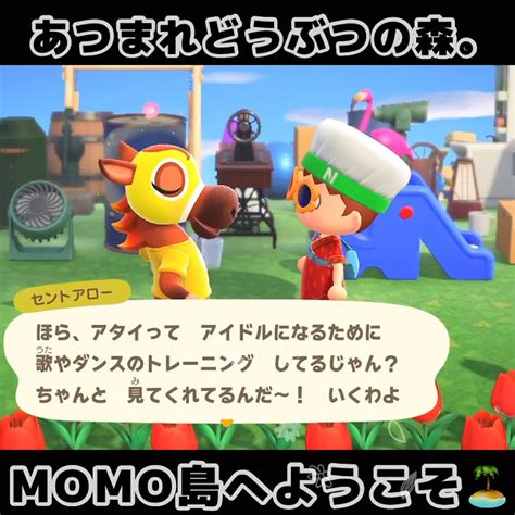 ☑️【あつ森】20240405『1分間動画①』animalcrossingnewhorizonsあつまれどうぶつの森동물의숲