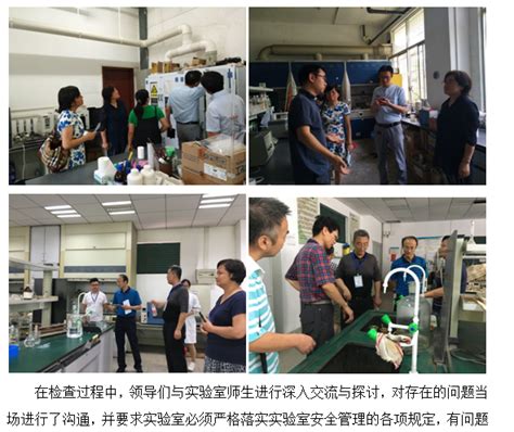 武汉理工大学化学化工与生命科学学院