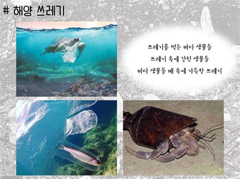 한림유치원 레지오프로젝트