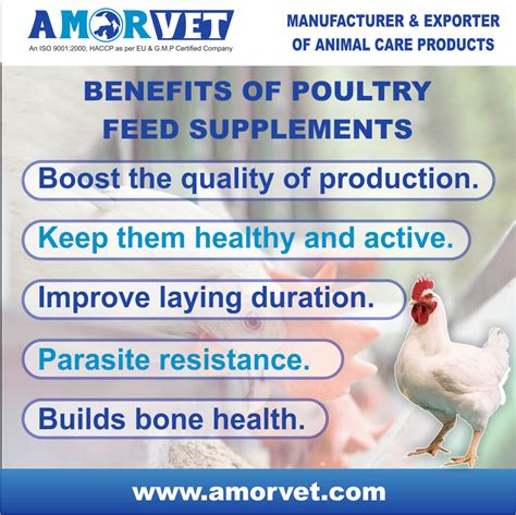 Poultry Feed Supplements Amorvet