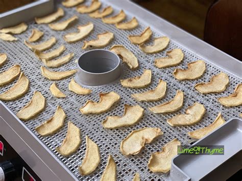 사과 칩스 말린 사과