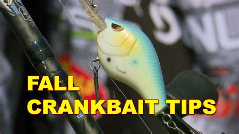 Fall Bass Fishing With Crankbaits How To Bass Fishing Youtube