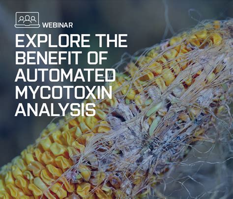 Watch Free Webinar Exploring The Benefits Of Automated Multiplex