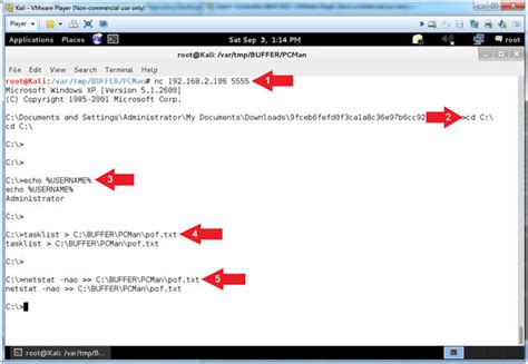 Buffer Overflow Lesson 1 Pcmans Ftp Server 207 Buffer Overflow