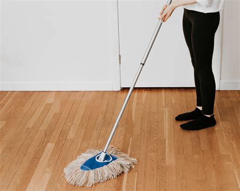 Wooly Dust Mop Floor Dusting And Mopping Cleaner Includes Frame And Exte