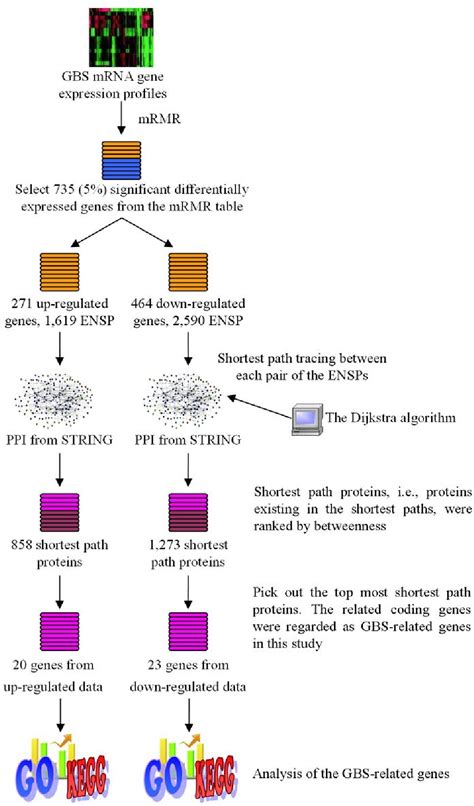 Figure 1 From Computational Identi Cation Of Guillain Barre Syndrome Related Genes By An Mrna
