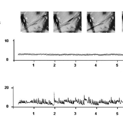 Composition Of The Tyrode And K Tyrode Solutions Used Download Table