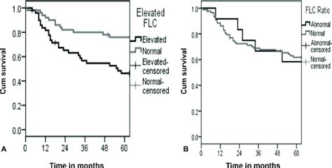 Overall Survival Os In Elevated Free Light Chain Flc And Abnormal