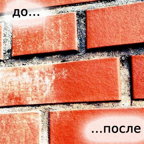 Perfekta Антивысол - для удаления высолов на кирпиче и затирке - цена ...