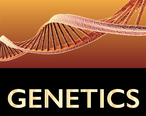 ‎اعلام كلية الزراعة اعلام كلية الزراعة جامعة المنوفية