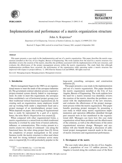 Pdf Implementation And Performance Of A Matrix Organization Structure 1 Dokumentips