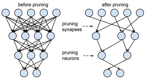 Pruning Neural Networks Neural Networks Can Be Made Smaller And By