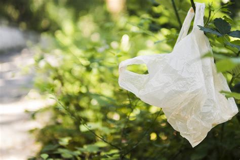 Comerciantes De Edomex Piden Alternativas Para No Usar Bolsas De Plástico