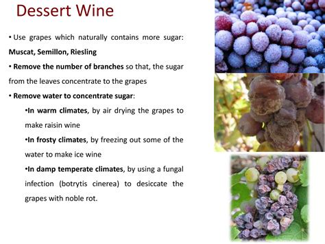 Basic Wine Knowledge Pptx