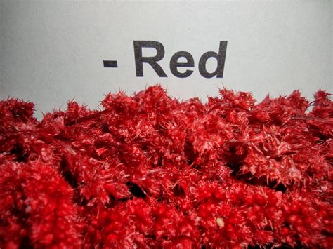 Amaranth Red Color Mossman Inc Mossman Inc