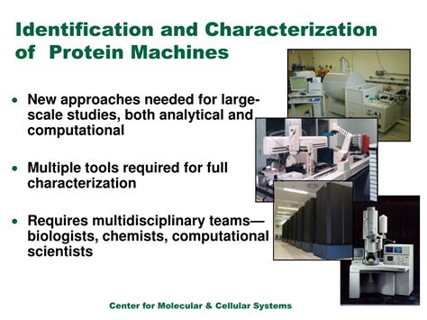 Ppt New Approaches For High Throughput Identification And Characterization Of Protein