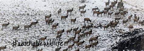 Washington State S Ultimate Road Trip The Cascade Loop Scenic Byway