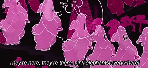 Welcome To Australia Where An Elected Official Has Eaten 8 Elephants