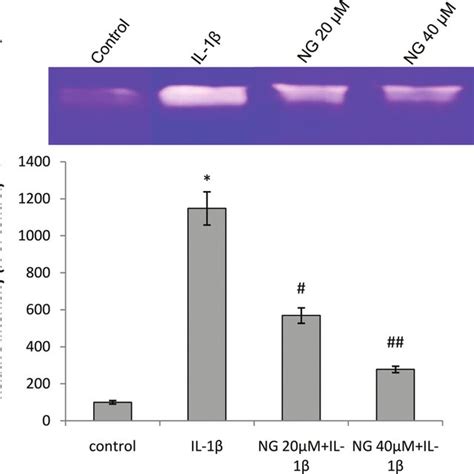 Effect Of Naringenin On Caseinolytic Activity Of Mmp 3 Secretion In Rat