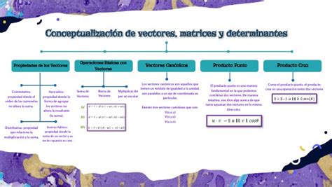 Mapa Conceptual Conceptualización de Vectores