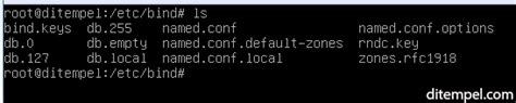 konfigurasi dns server bind9 di debian 11 ditempel