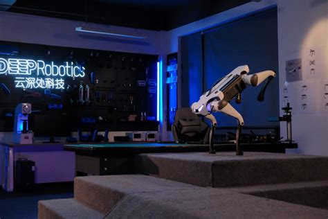 Beyond Boundaries How Quadruped Robots Revolutionize Academic Research