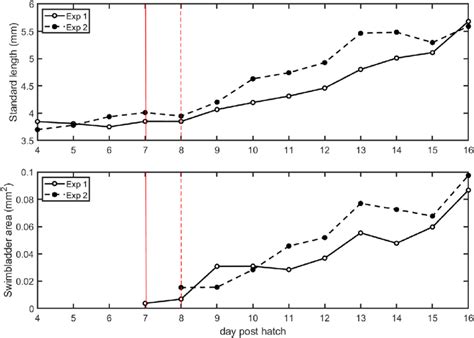 Value Of The Median Standard Length L S Upper Panel And Swimbladder