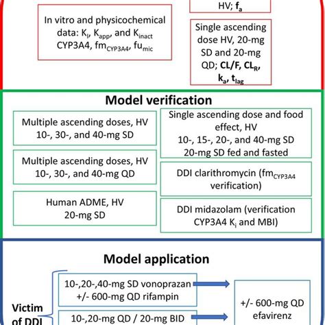 Pbpk Modeling Scheme Adme Absorption Distribution Metabolism And Download Scientific