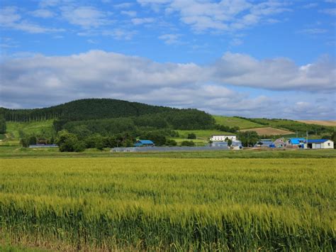 栗山町まるわかり情報観光グルメ 北海道Likers