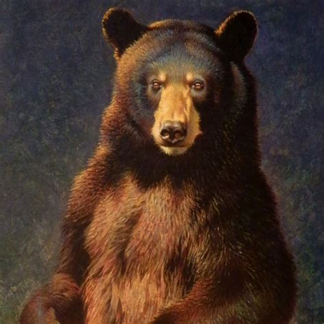 Ezra Tucker Original Fine Art Selection At The Broadmoor Galleries