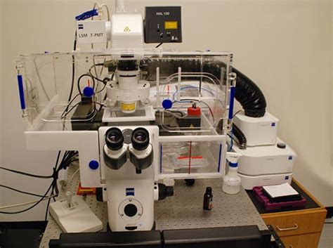 Confocal Microcrope Zeiss Lsm 780 Axioobserverz1 Inverted