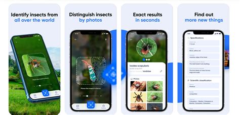 The Best Bug Identifier Apps For Android And Iphone Appuals