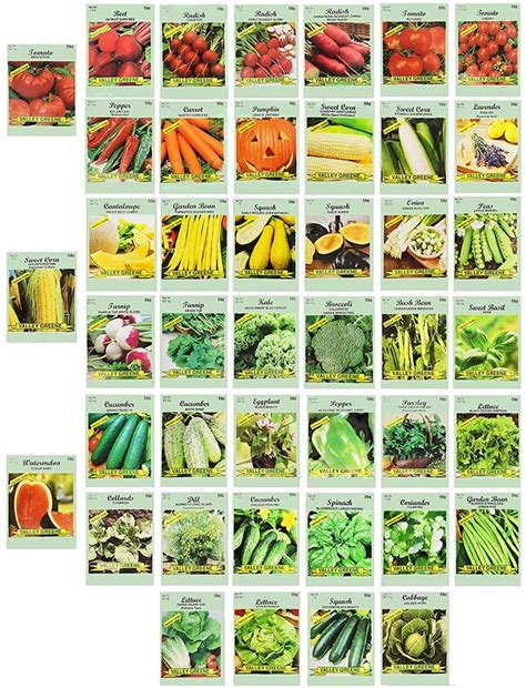 Set Of 43 Current Year Assorted Vegetable And Herb Seeds Create A