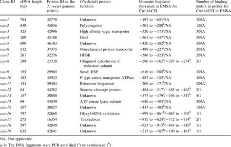 Characteristics Of Cdna Clones Identified By Ssh And The Promoter