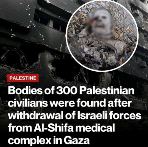 Oussama Allamou On Linkedin Whats Happening In Meine Liebe Palestine