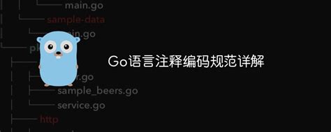 Detailed Explanation Of Go Language Comment Encoding Specifications