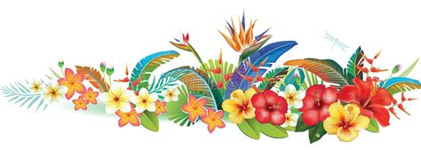 Hawaiian Border Stock Illustrations 12276 Hawaiian Border Stock
