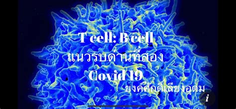 T Cell เเละ Memory B Cell ตามข่าวกับหมอยงค์ Facebook