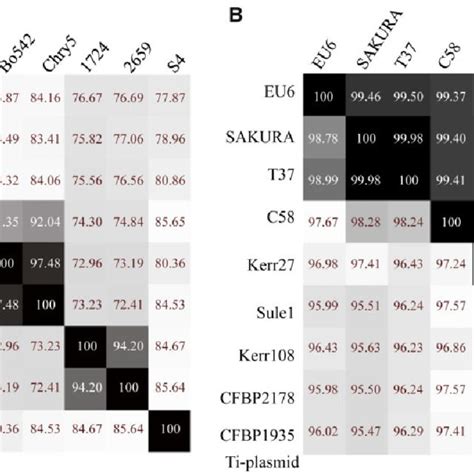 Heatmap Of Average Nucleotide Identity Ani Values The Ani Values