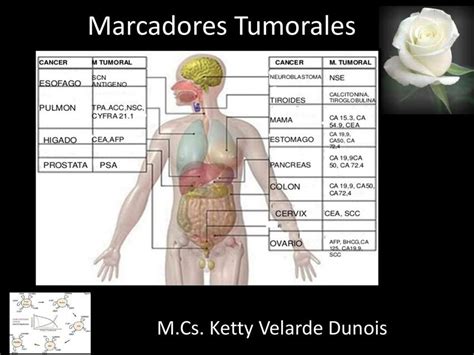 16 Marcadores Tumorales Anonimo UDocz