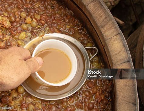 화이트 와인 발효 과정에서 손으로 와인 한 잔을 가져 가라 와인 주스 한 잔 와인 제조 컨셉 0명에 대한 스톡 사진 및 기타 이미지 Istock