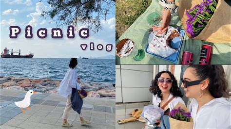 Pİcnİc Vlog ولاگ روزانه پیکنیک تابستونی خرید کیک پختیم🍓🌱 Youtube