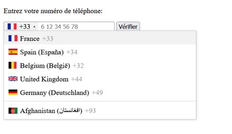Avec IntlTelInput Js Webdevpro Net