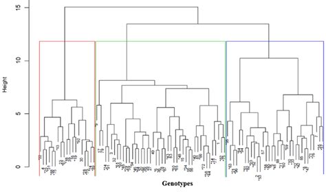 Cluster Dendrogram Of 96 Genotypes Table S1 Provides Genotype Names Download Scientific