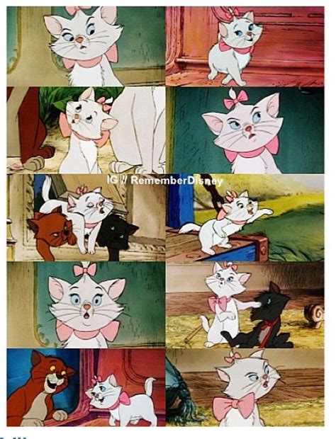 Images About Disney AriStOcaTs On Pinterest Disney To Be And The Aristocats
