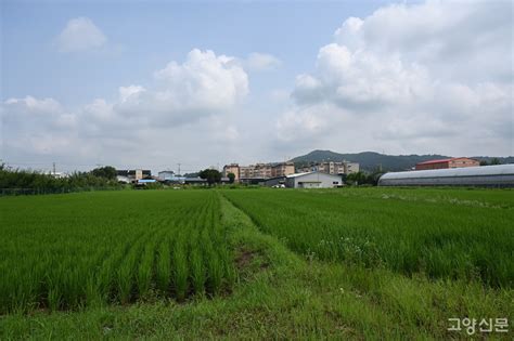 인쇄하기